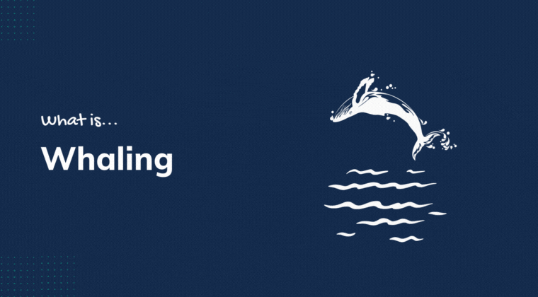 How To Stay Safe From Whaling As A Senior Executive